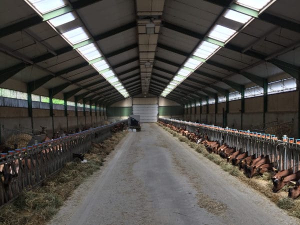 Construction bergerie et batiment chèvrerie par l'entreprise Dugué